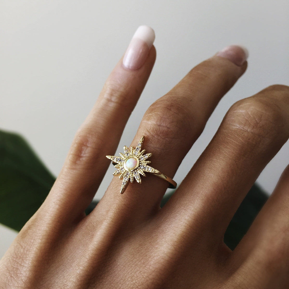 The Stardust Ring – Terra Soleil